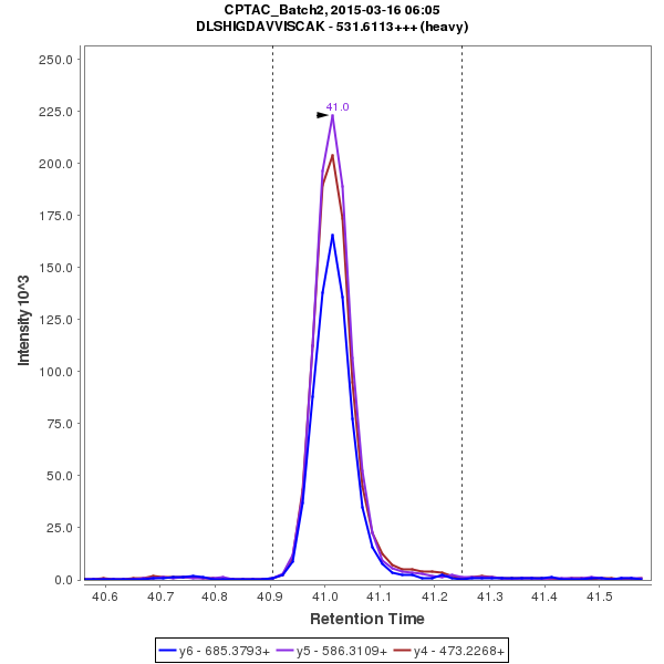 PCNA, CPTAC-558 - CPTAC Assay Portal | Office of Cancer Clinical ...